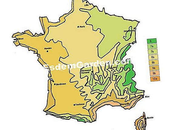 Zone Climatice Și Rezistență În Franța 🌿 Totul Despre Grădinărit Și ...