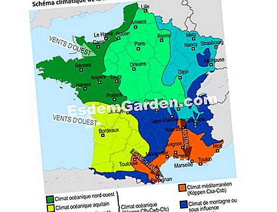 Zone Climatice Și Rezistență În Franța 🌿 Totul Despre Grădinărit Și ...