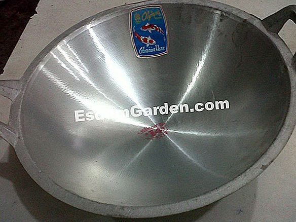 Baskom Yang Sudah Terbentuk 🌿 Semua Tentang Berkebun Dan Desain Taman ...