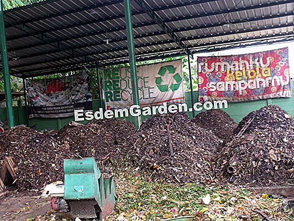 Apa Itu Kompos? 🌿 Semua Tentang Berkebun Dan Desain Taman - 2025