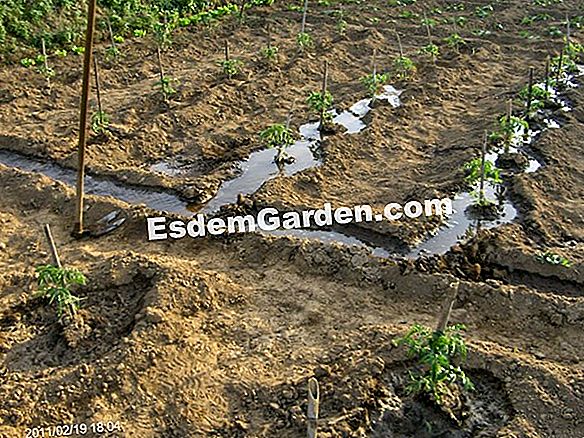 Um Sistema De Rega Automática 🌿 Tudo Sobre Jardinagem E Projeto Do ...