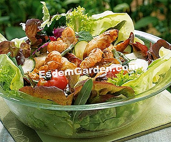 Receta De Ensalada Completa 🌿 Todo Sobre Jardinería Y Diseño De ...